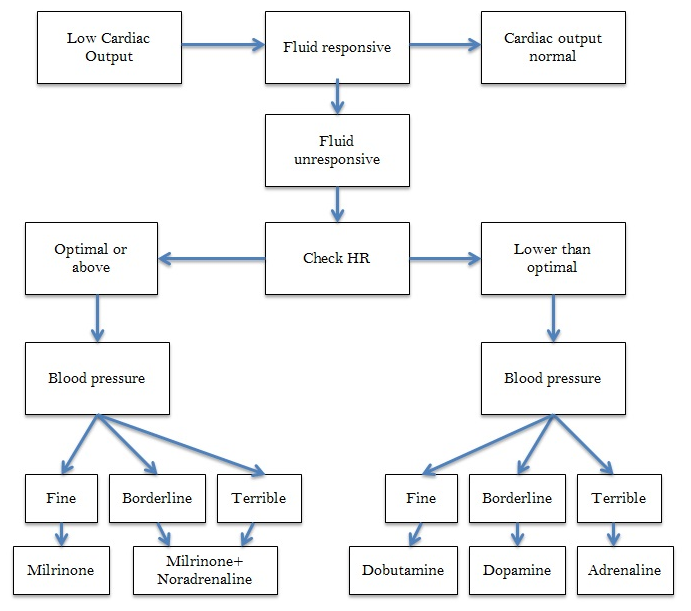 Inotropes Made Simple – PaediatricFOAM