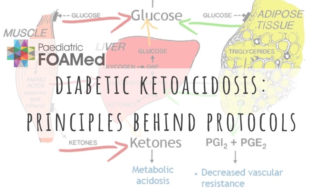 Diabetic Ketoacidosis: Principles behind Protocols – PaediatricFOAM
