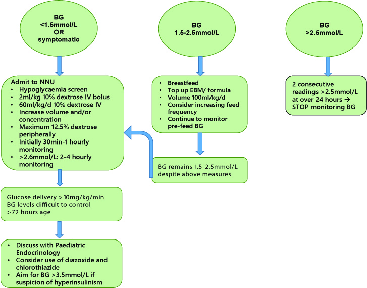 Sweet Nothings? Hypoglycaemia in the Neonate – Paediatric Foam