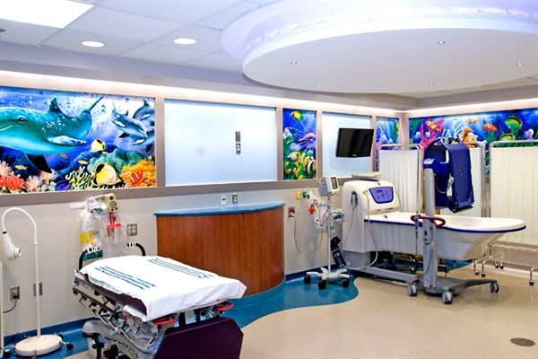 Serving up Special K: Procedural sedation in the Paediatric ED ...